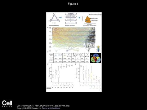 Incoherent Inputs Enhance The Robustness Of Biological Oscillators