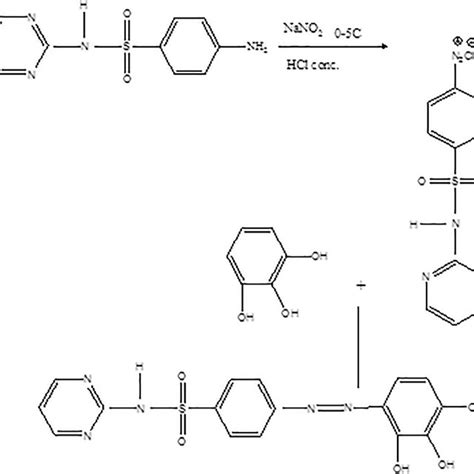 General Chemical Structure Of Sulfonamides Download Scientific Diagram