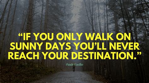 51 Inspirational Quotes About Life And Struggles Images Quotebold