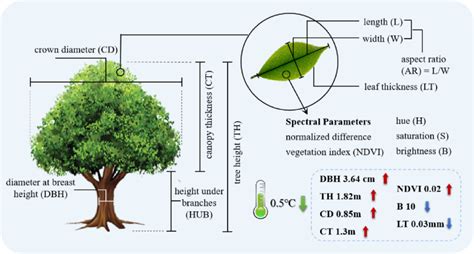 Spatial Diagram Of Influencing Factors Download Scientific Diagram