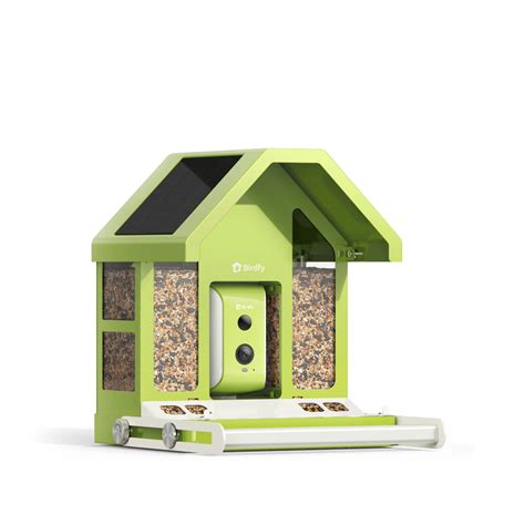 15 Hummingbirds Favorite Flowers Annual And Perennial And Nectar Rich Birdfy