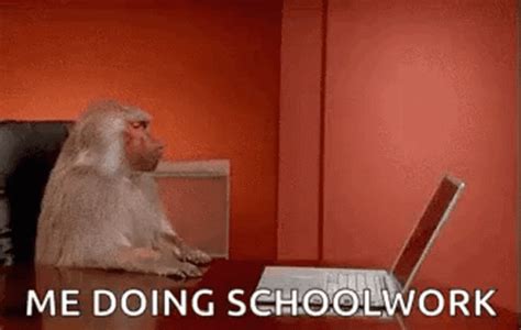 Me When Doing Homework 