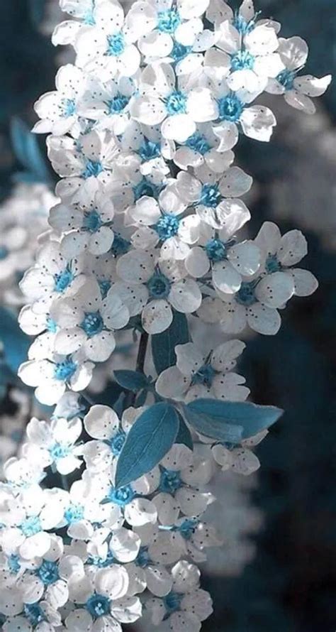 國畫素材 丨 花花世界 每日頭條