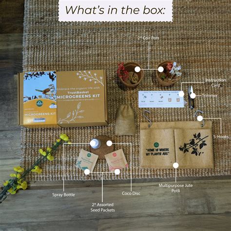 Homegrown Microgreens Kit Trustbasket