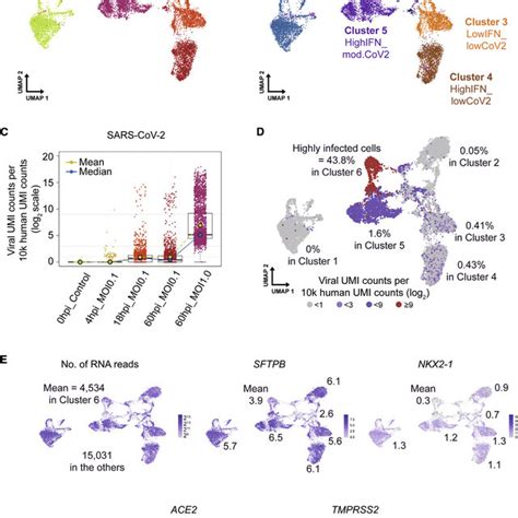 Single Cell Transcriptome Analysis Of Uninfected And Infected H3acs A