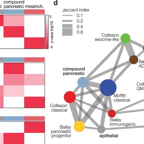 Existing Classification Systems Are Interconnected A C Expression Download Scientific