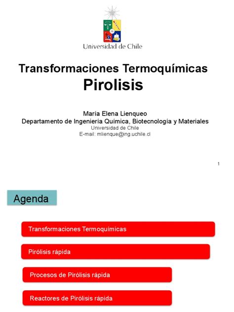 Clase 15 Termoquimica Pirolisis Rapida Pdf Pirólisis Procesos