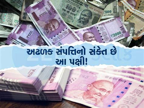 Vastu Tips ભવિષ્યમાં સફળતાના સંકેતો આપે છે આ પક્ષીઓ આ પક્ષી નસીબ ચમકી જશે