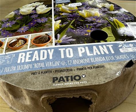 The Plant Plot The Plant Plot Added A New Photo