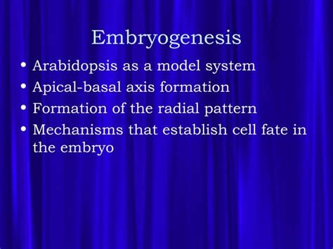 Plant Embryo Development Pptx