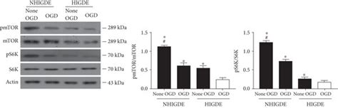 Mirna 199a 3p In Higde Aggravated Neuronal Injury By Suppressing The