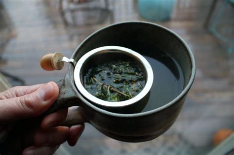 Pioneros En La Medicina Herbal