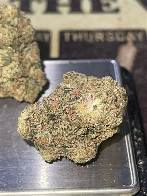 Jupiter Jack Splash Bros