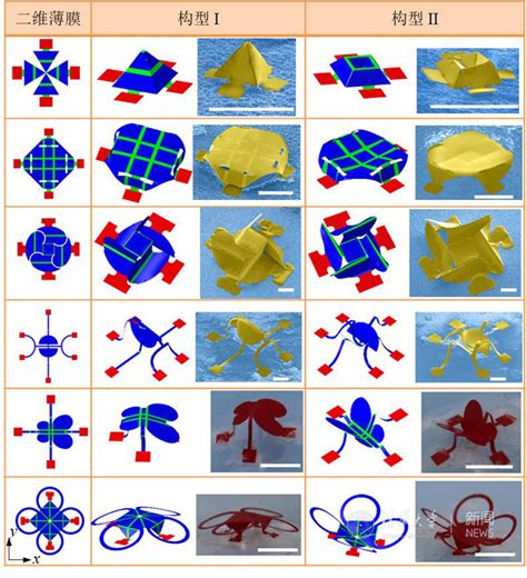 清华航院张一慧副教授课题组在非常规可重构三维细微观结构及微电子器件方面取得重要进展 中国聚合物网科教新闻