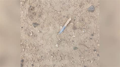 Ավազակություն չէր․ Վաղարշապատի ոստիկանների բացահայտումը Youtube