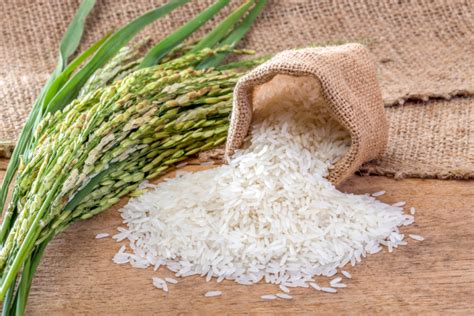 Cómo Se Siembra El Arroz Huerto En Casa