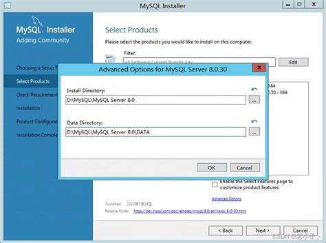NET3 1 Mysql8 0 Redis Windows IIS部署 iis连接redis CSDN博客