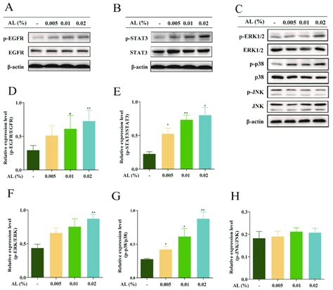 al exerted skin moisturizing effects by upregulating egfr signal