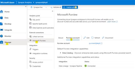 Integrating Azure Synapse Analytics And Microsoft Purview Risual
