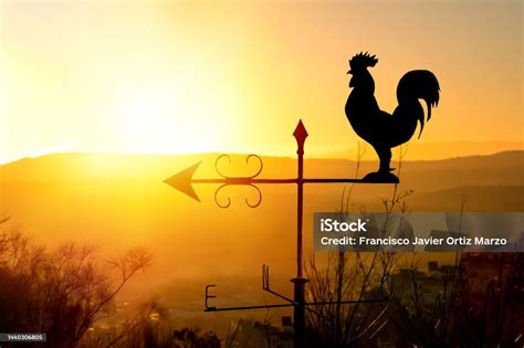수탉 날씨 베인 일출에 밝은 색상 이른 아침 일어나기의 개념 일어나기에 대한 스톡 사진 및 기타 이미지 일어나기 아침