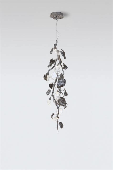 Calathea Ornata Small Thelightcouture