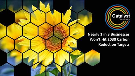 One In Three Businesses May Miss 2030 Carbon Reduction Targets