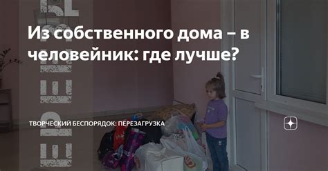 Из собственного дома в человейник где лучше Творческий беспорядок Дзен