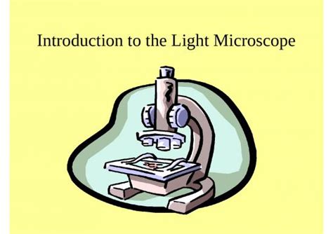 Parts Of The Compound Light Microscope