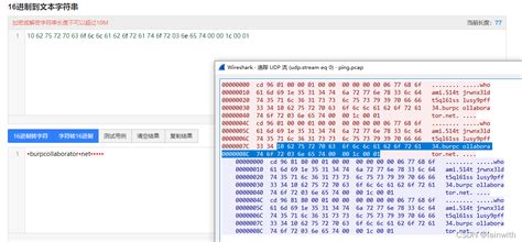 入侵检测——burpsuiteburpsuite Dnslog Csdn博客