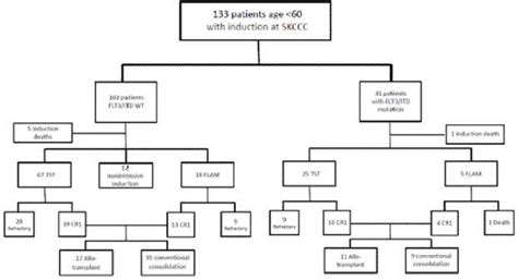 Figure 1 From Role Of Allogeneic Transplantation For Flt3 Itd Acute Myeloid Leukemia Outcomes
