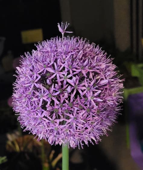 고린도 후서 5장 19 21