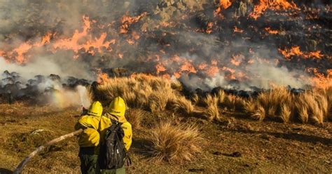 Incendios Forestales Cuatro Provincias Mantienen Focos Activos