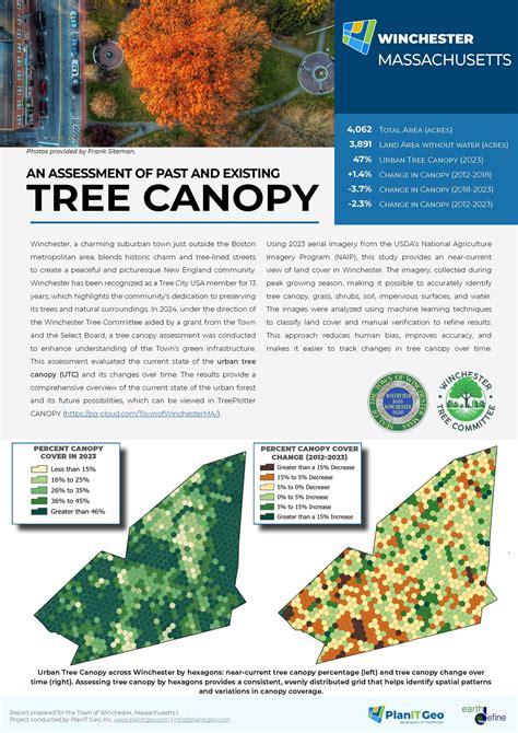 Tree Canopy Assessment Winchester Ma Official Website