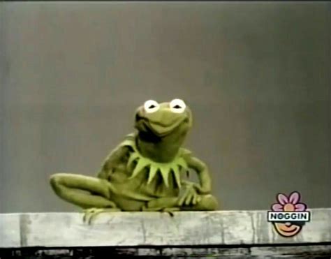 Kermit Grappig Gezicht