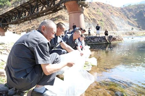喜德县人民法院开展增殖放流活动促进长江流域修复生态环境澎湃号·政务澎湃新闻 The Paper