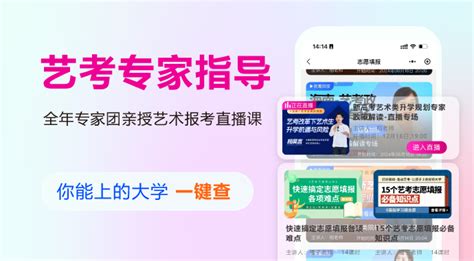 全国艺术类志愿填报系统艺术生高考志愿填报模拟系统美术生艺愿星怎么填志愿咨询