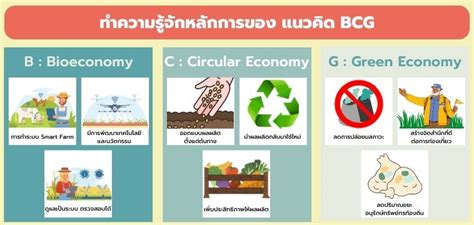 To Develop Agricultural Tourism In Thailand Bcg Model To Bcg Tourism