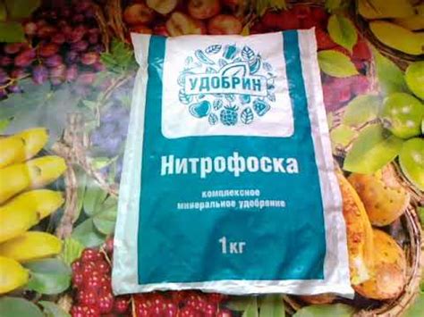 Нитрофоска - всё самое необходимое, для питания растений. - YouTube