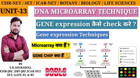Dna Microarray Technique Microarray Technique Unit 13 Csir Net