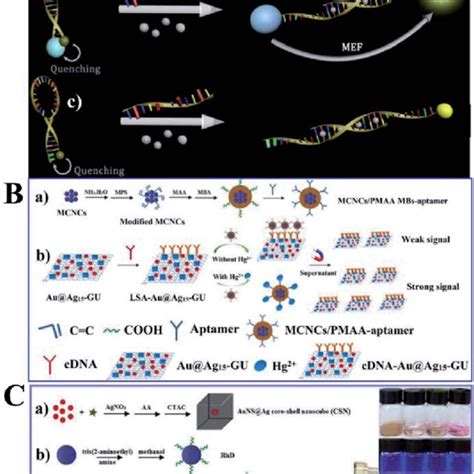 A Schematic Showing The Sensing Principle Of The Proposed Method