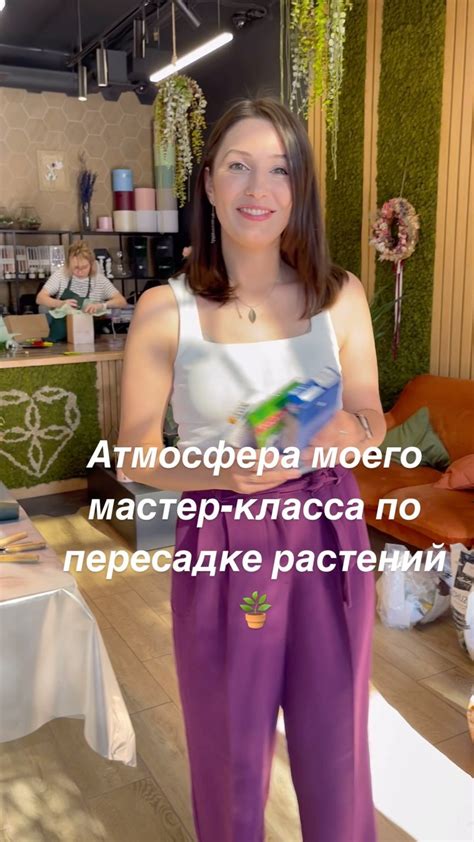 Лиза Комнатные растения Уход консультации озеленение Lizaveta Plants • Instagram Photos