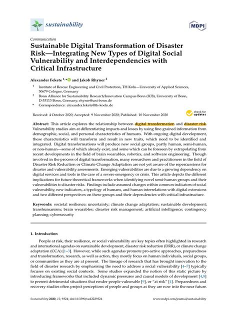 Sustainable Digital Transformation Of Disaster Risk Integrating New Types Of Digital Social