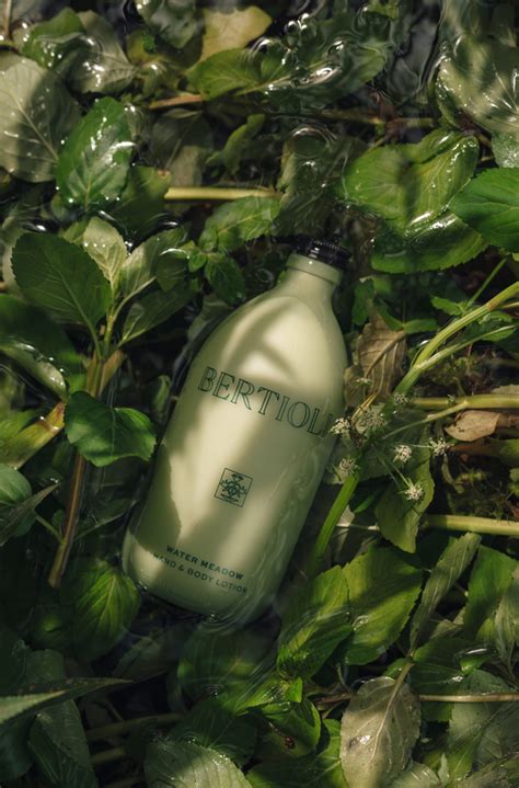 Oak Leaf Wallpaper Thyme And Bertioli