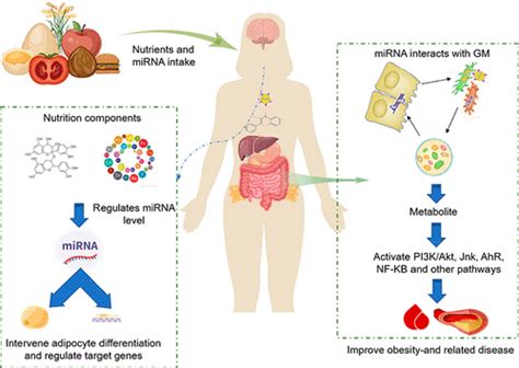 Journal Of Agricultural And Food Chemistry Vol 71 No 40