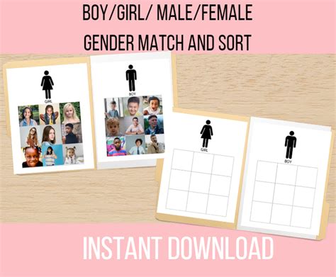 Gender Babe Girl Male Female Match And Sort In 2024 Cue Cards Hands On Activities Sorting