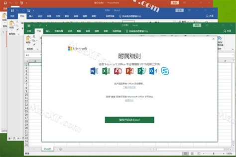 Microsoft Office 2019 激活版 Microsoft Office 2019批量许可版24年08月更新版 软件先锋