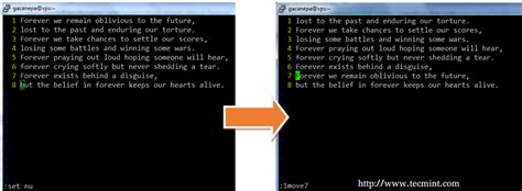 Vim For Linux Admins 8 Powerful Tips And Tricks Part 2