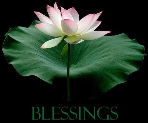 Rediscovering The Lost Art Of Blessing By Karen Horneffer Ginter Dailygood