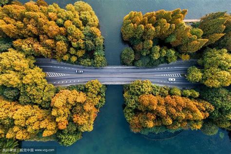 基于pytorch实现文本聚类算法dbscan附带案例 知乎