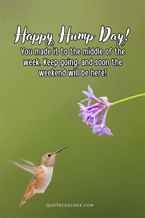 Instagram Hump Day Quotes 100 Creative Hashtags For Every Day Of The